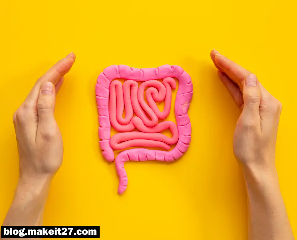 의학용어 DNR, F/E, GIST - 블로그잇27